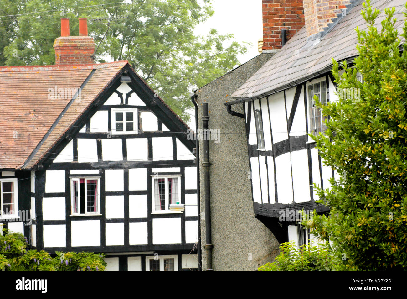 Old black and white timber framed houses village of Pembridge ...