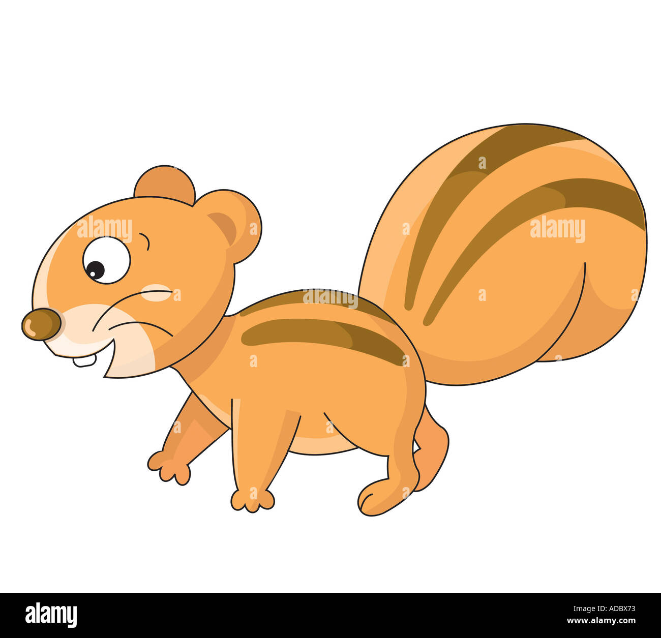 Squirrel teeth Cut Out Stock Images & Pictures - Alamy