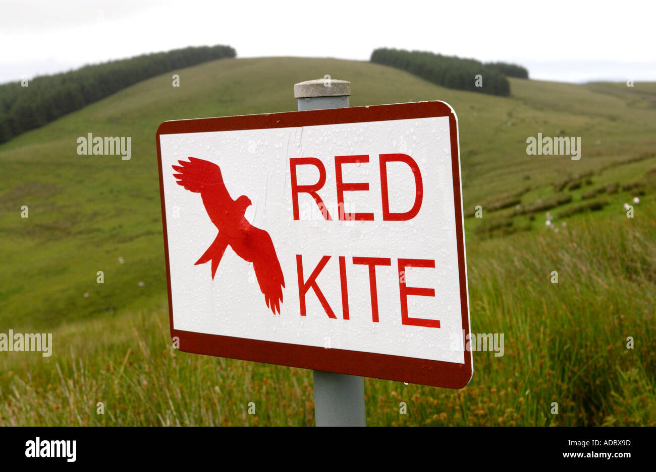RED KITE sign on the Epynt British Army military training area near ...