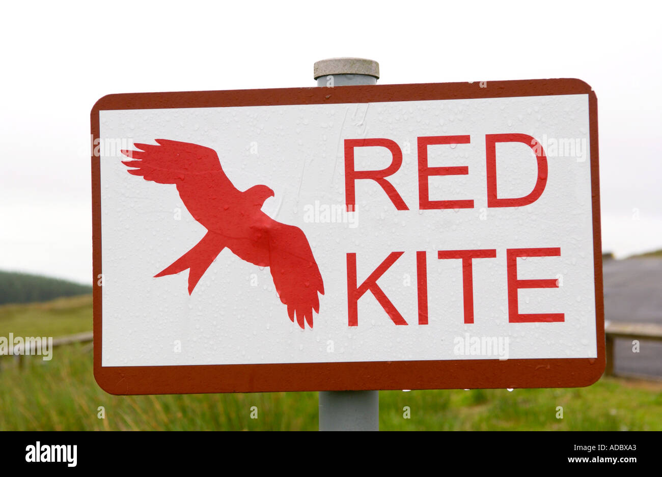 RED KITE sign on the Epynt British Army military training area near ...