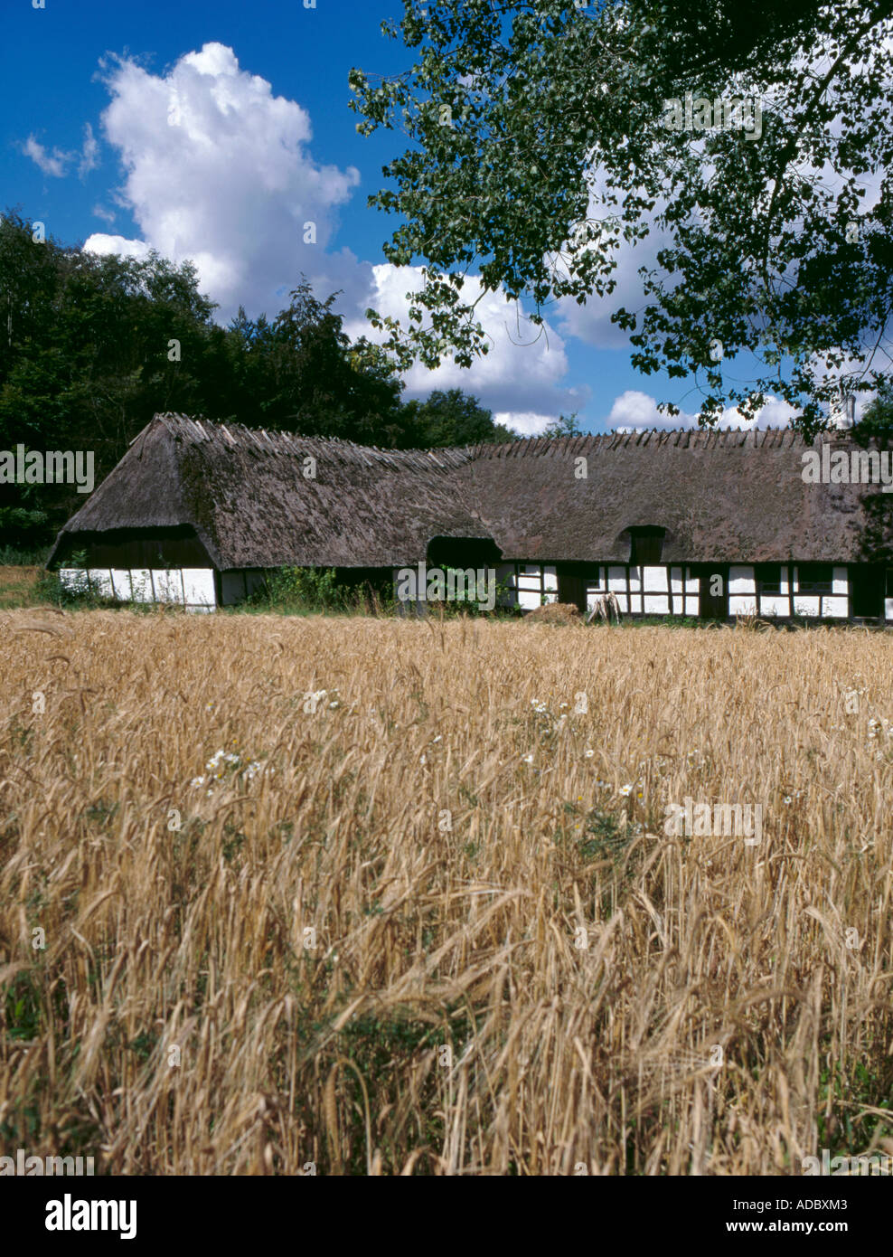 Hule farm village museum hi-res stock photography and images - Alamy