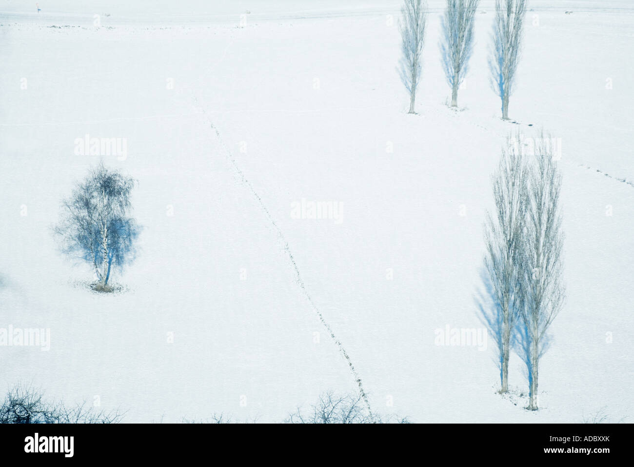 Snow-covered landscape with bare trees, high angle view Stock Photo - Alamy