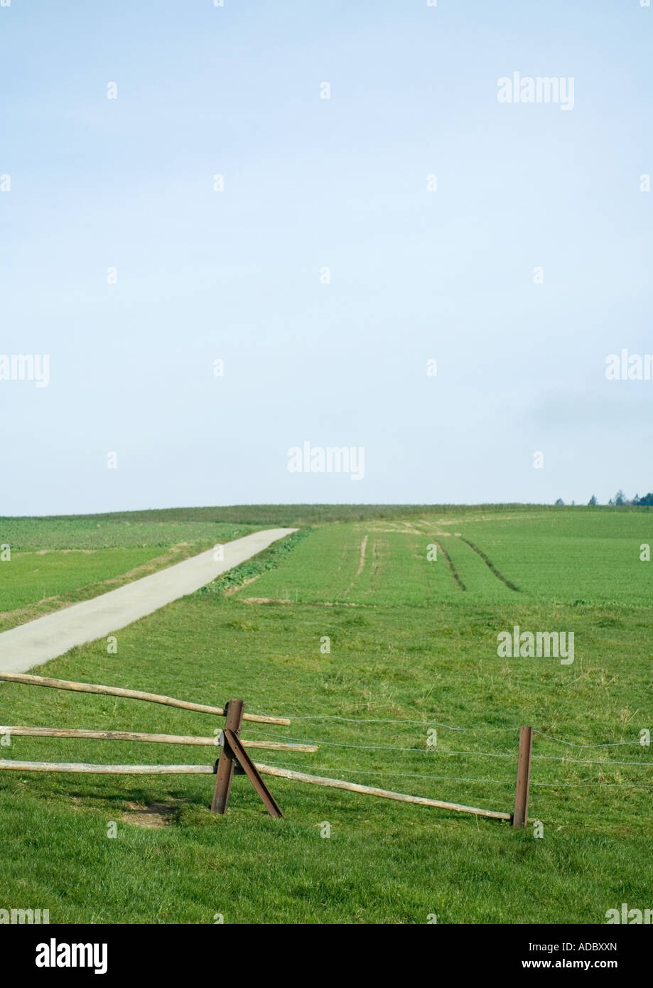 Grazing land without fences hi-res stock photography and images - Alamy