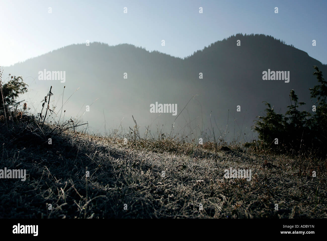 Landscape from Rodopa mountain, Bulgaria, Europe Stock Photo - Alamy
