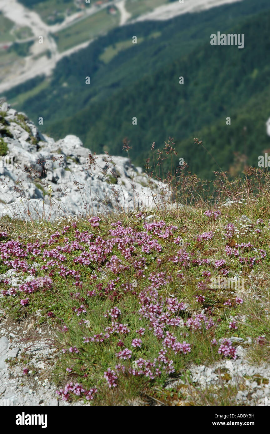 A view from the mount Due Pizzi Stock Photo - Alamy