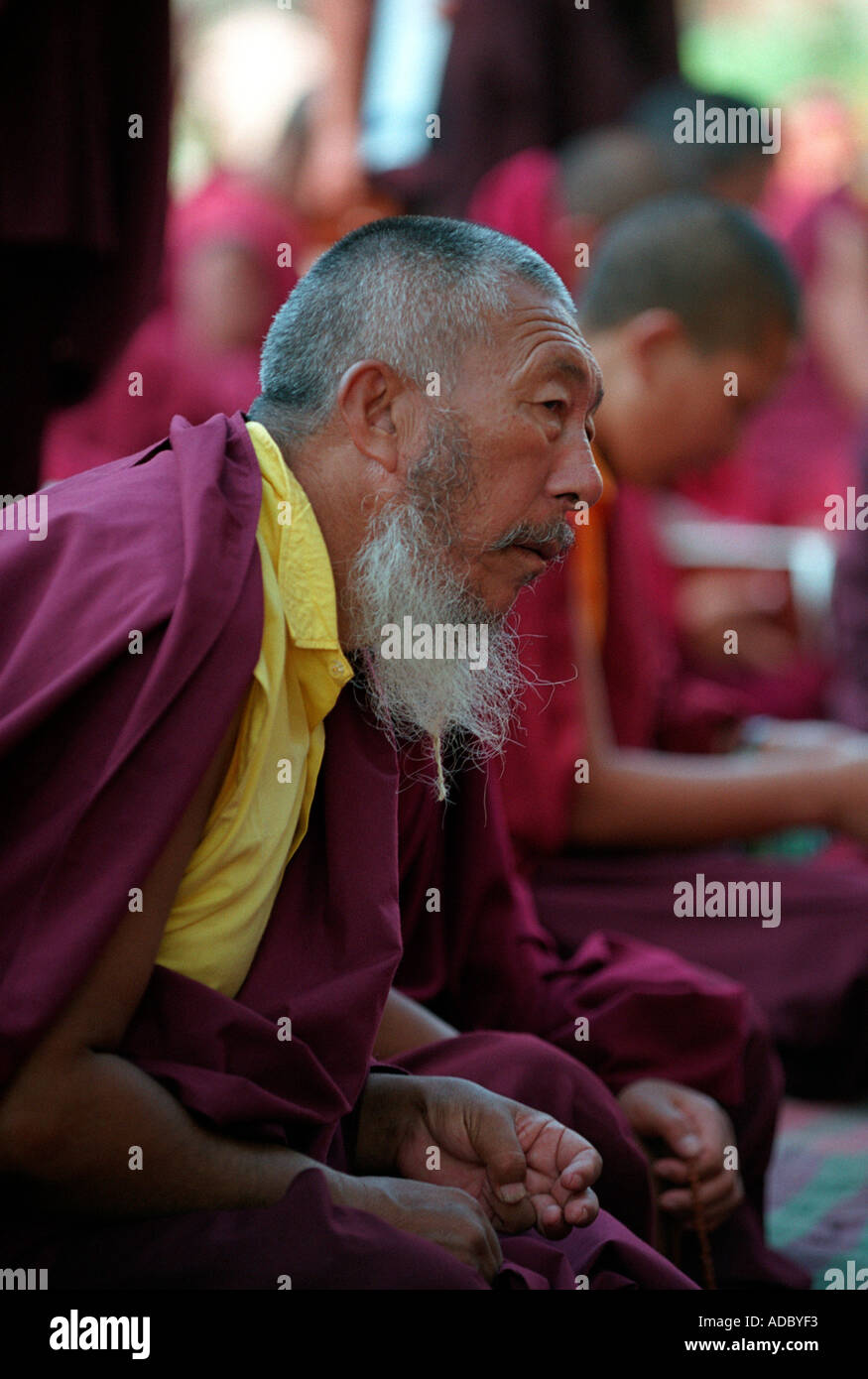 Bearded monk under the Bodhi tree at Bodh Gaya Stock Photo - Alamy