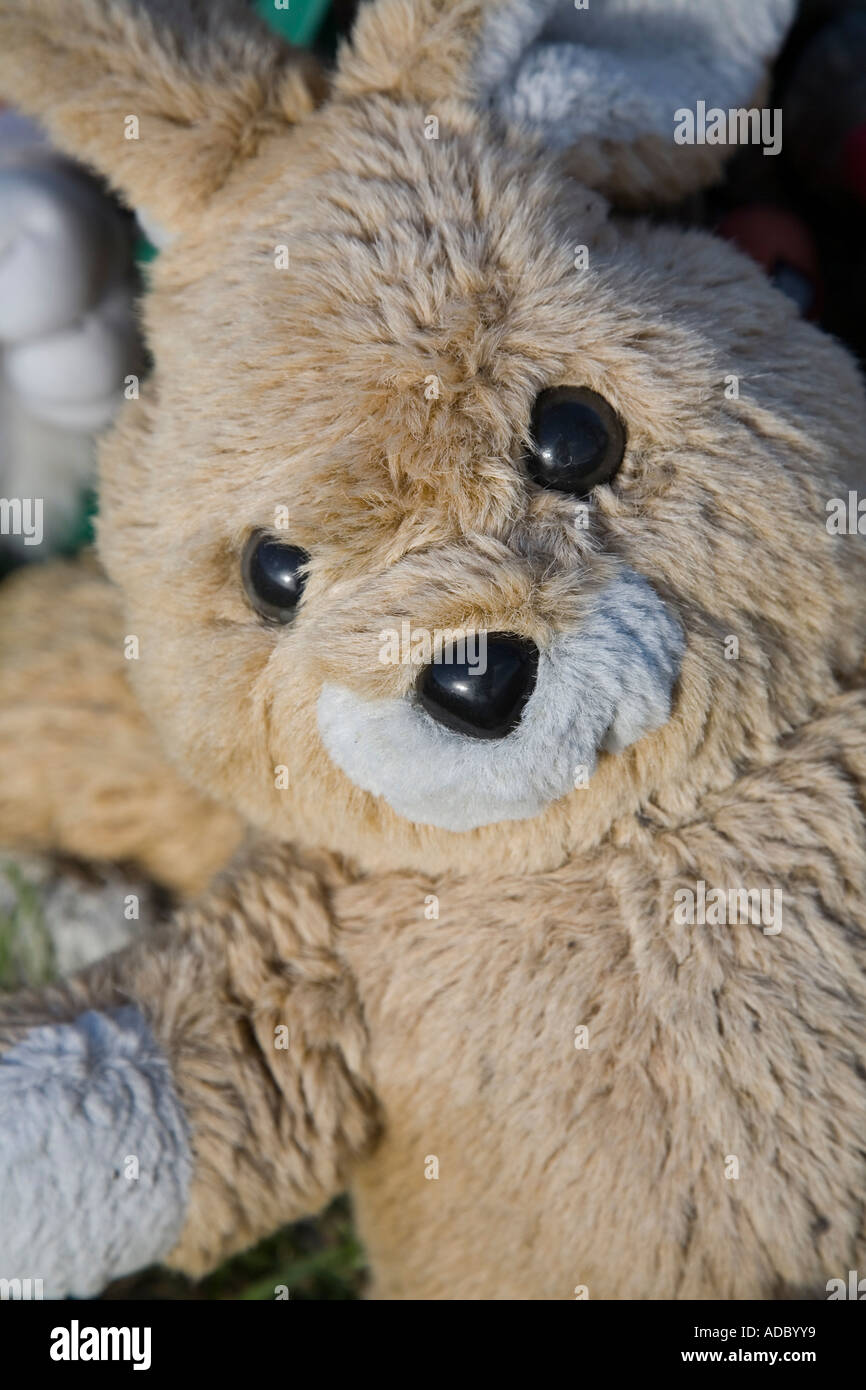 Teddy bear head toy hi-res stock photography and images - Alamy