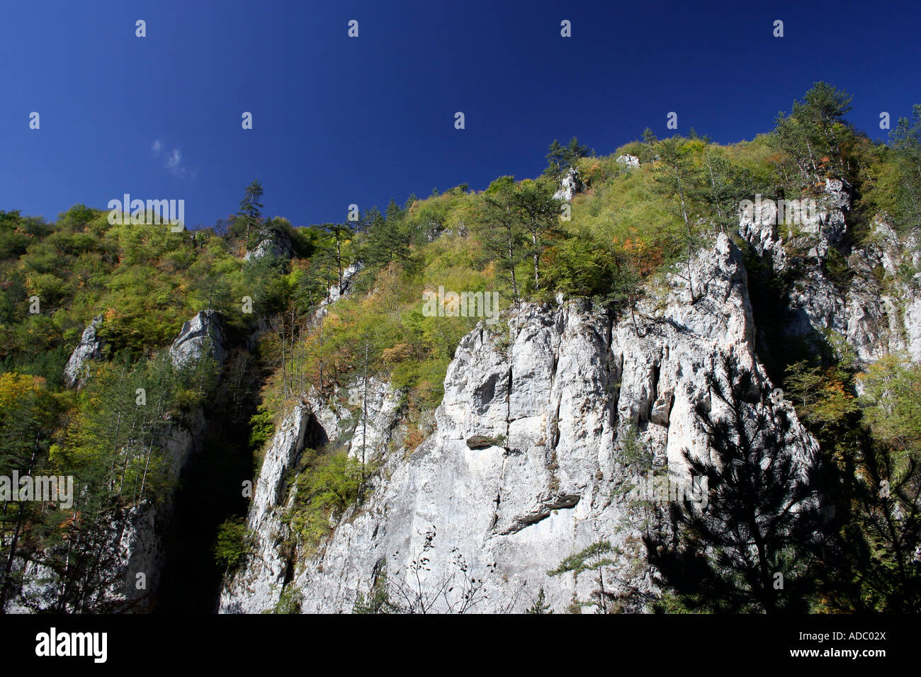 Rodopi mountine, Trigrad, Bulgaria Stock Photo - Alamy
