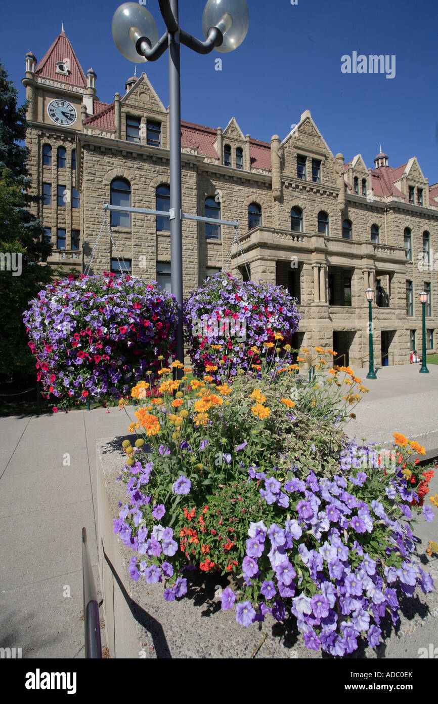 Canada Alberta Calgary City Hall Stock Photo - Alamy