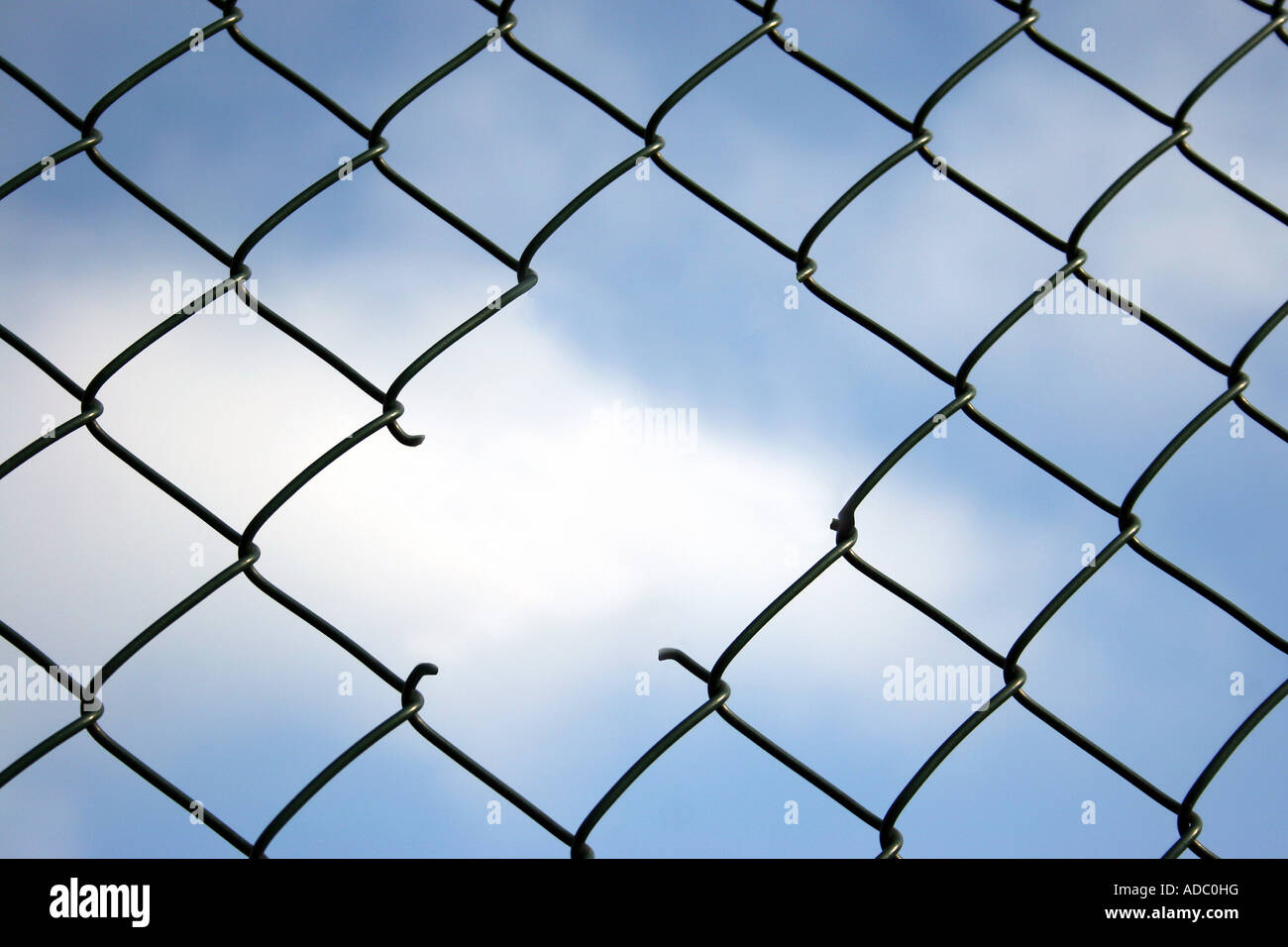 a hole in the wire mesh Stock Photo - Alamy