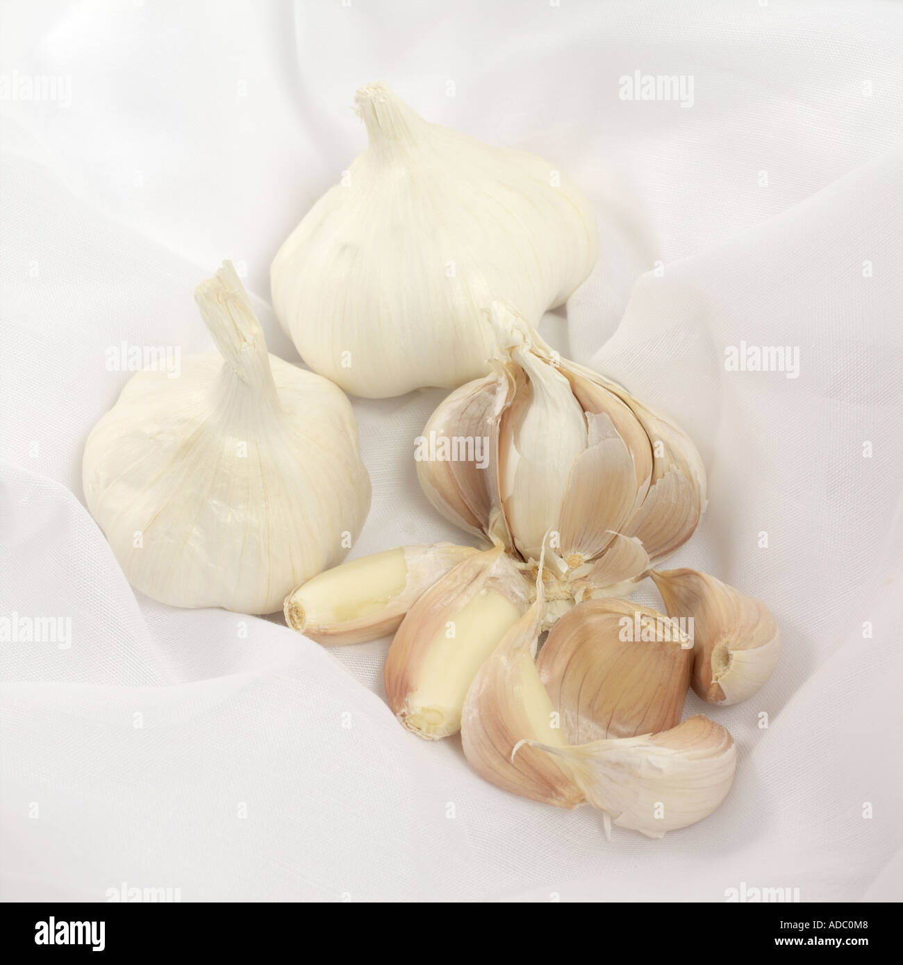 Whole and split garlic cloves on soft white fabric Stock Photo - Alamy
