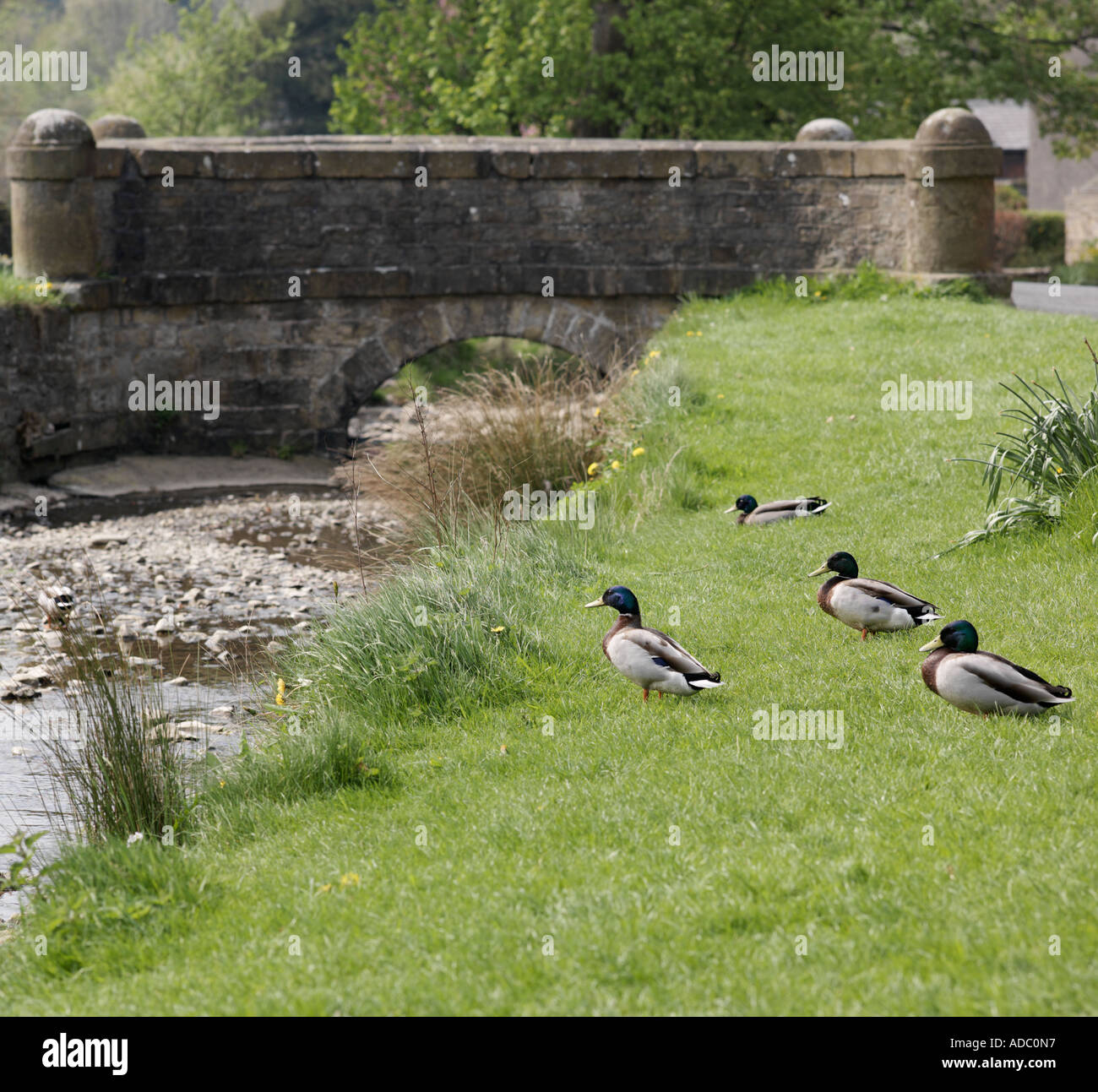 Downham lancashire village hi-res stock photography and images - Alamy