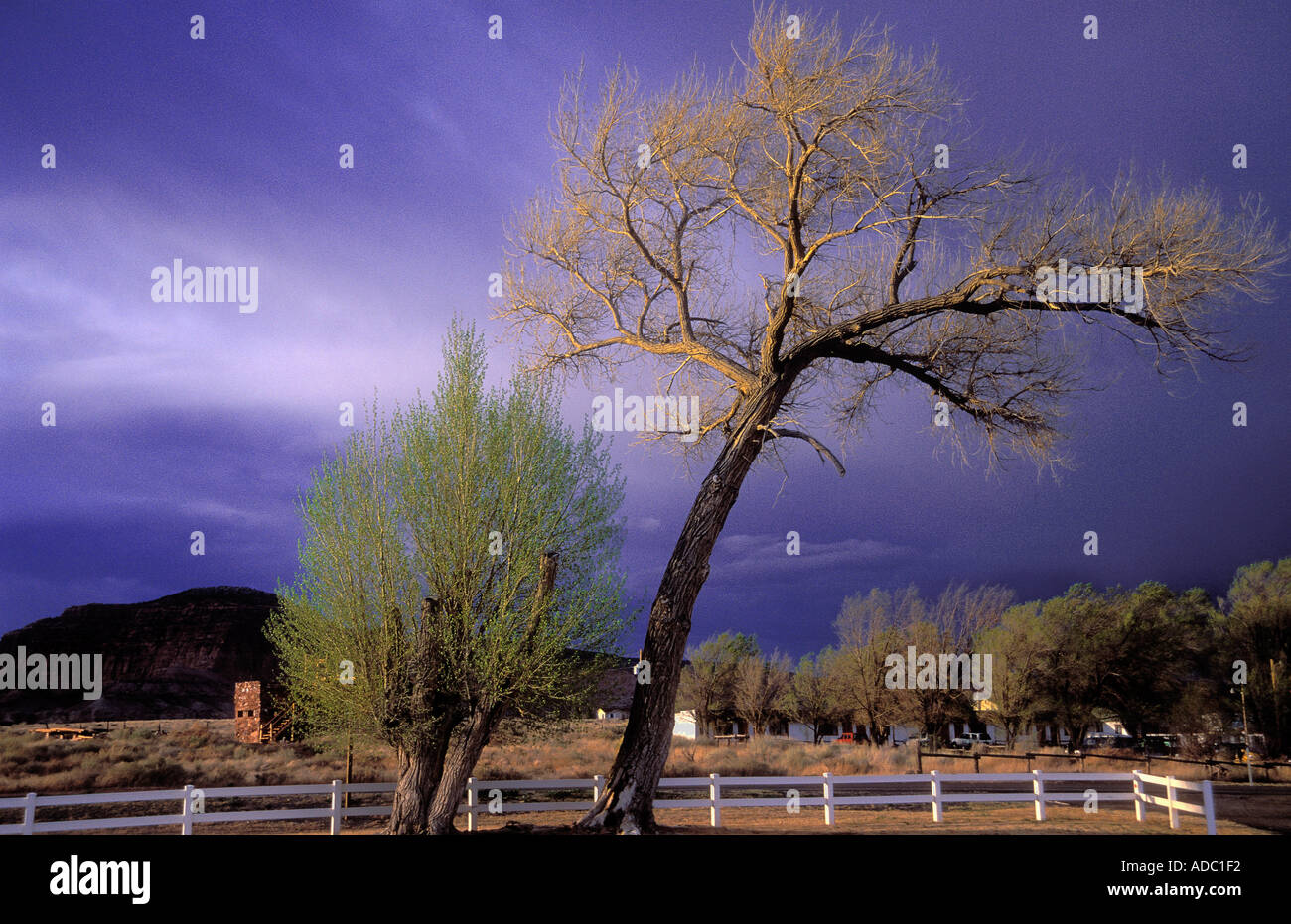 Torrey utah hi-res stock photography and images - Alamy