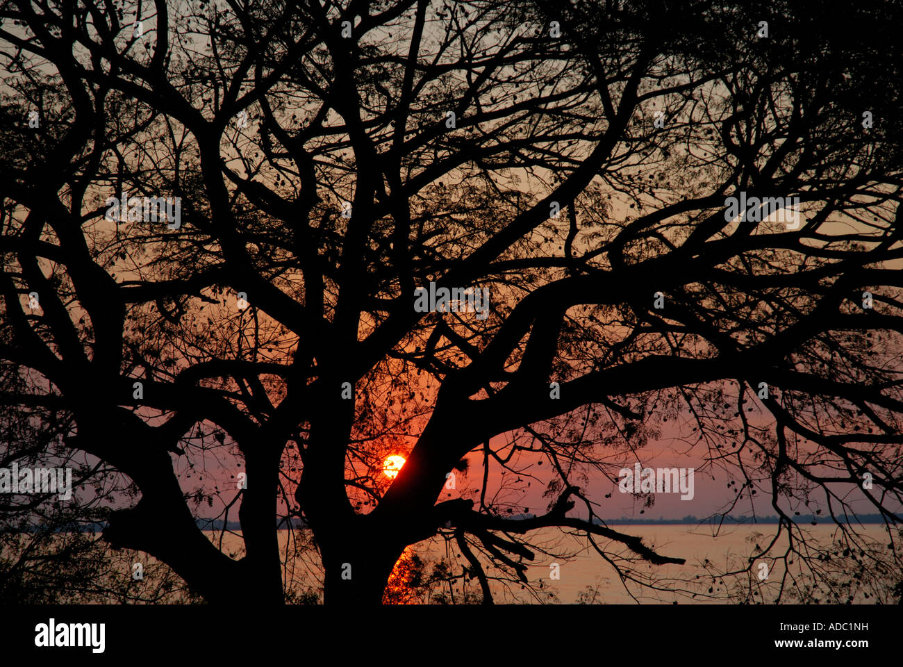 Guaiba river hi-res stock photography and images - Alamy