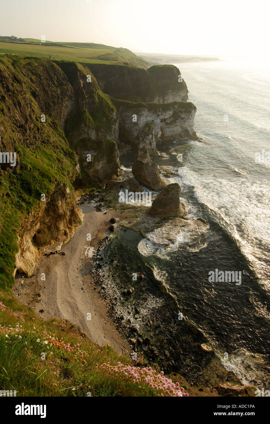 White Rocks, Portrush, Co. Antrim, Northern Ireland Stock Photo - Alamy