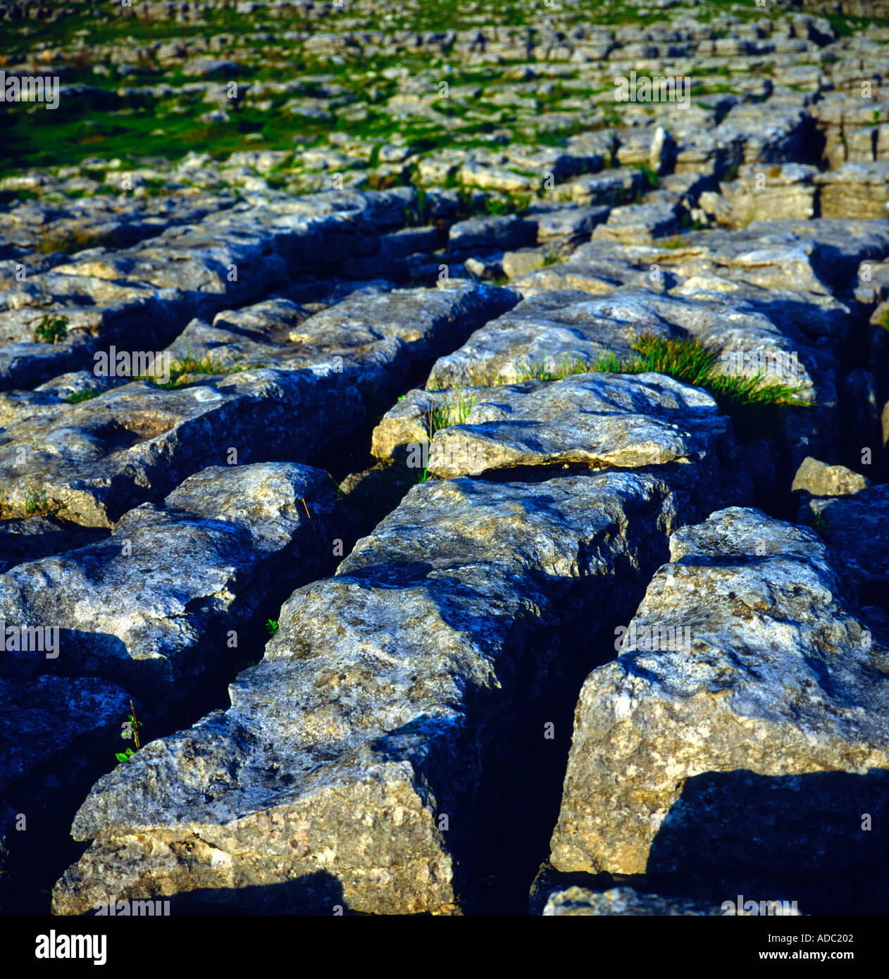 Limestone pavement above Malham Cove Yorkshire dales national park ...