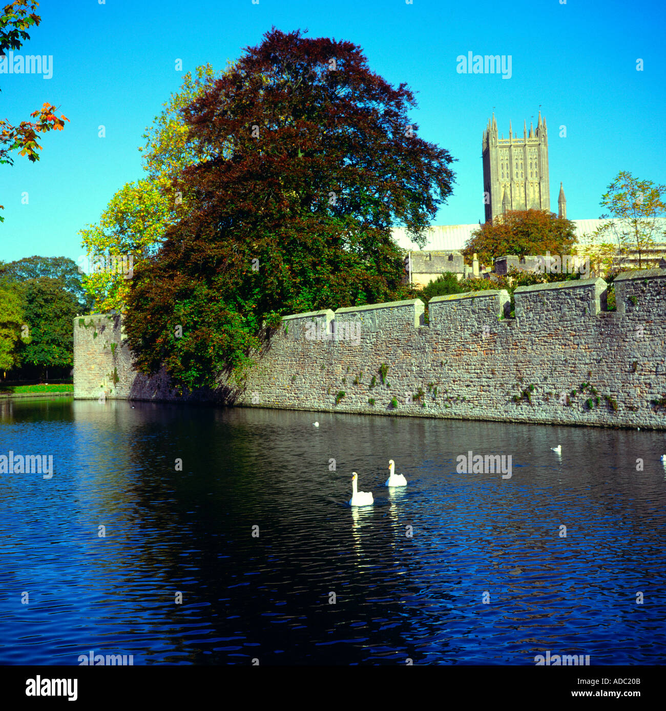 Bishop s palace and moat Wells Somerset England Stock Photo - Alamy