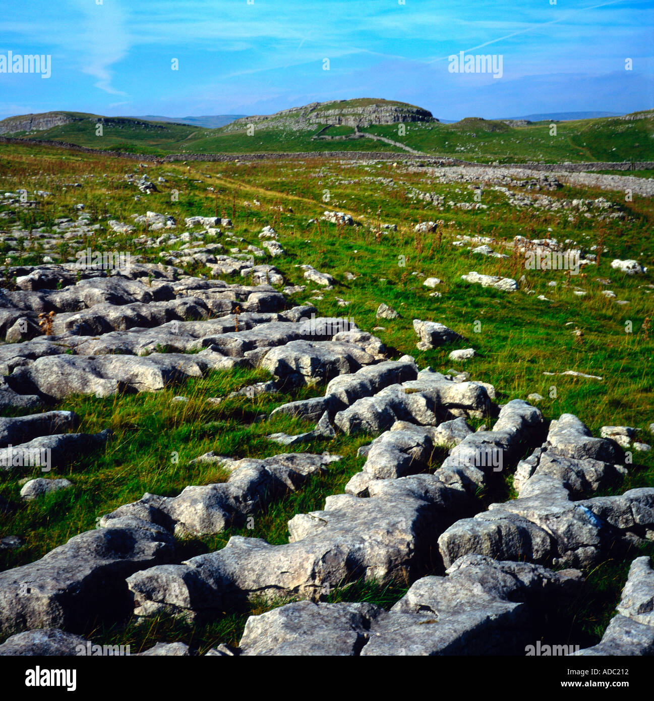Limestone pavement Yorkshire dales national park Yorkshire England ...