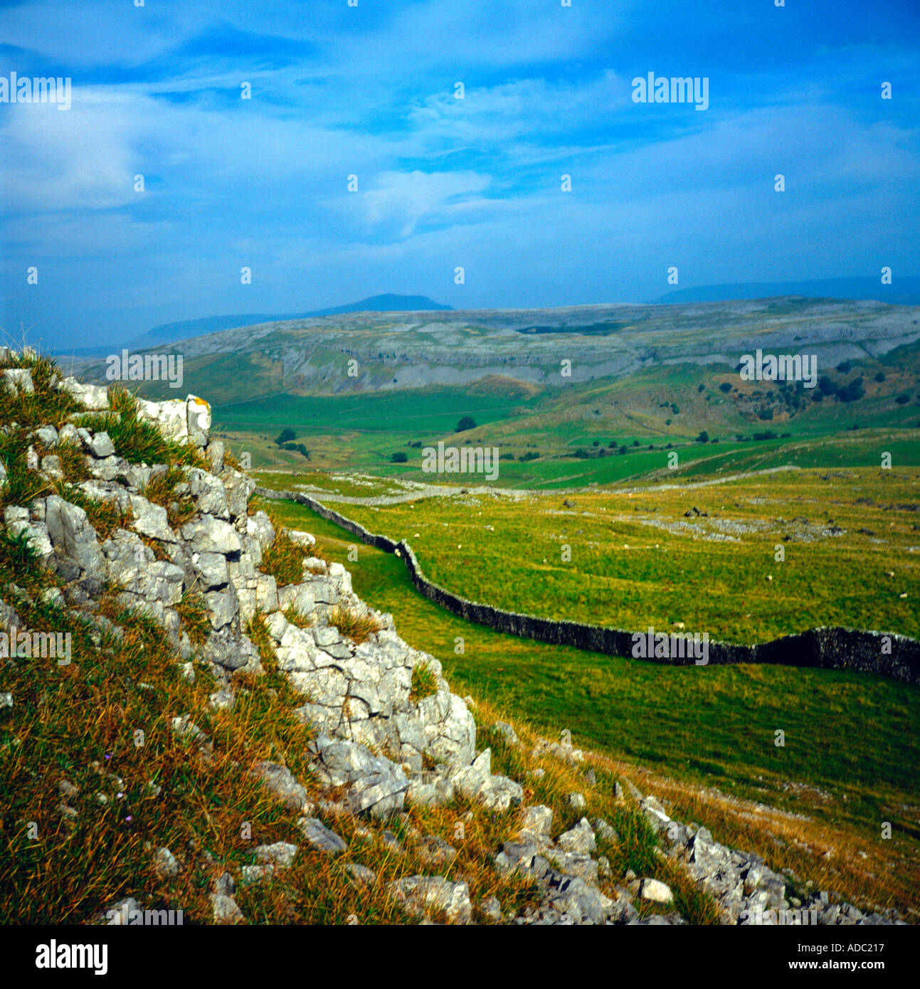 Limestone scar and scenery Yorkshire Dales national park England Stock ...