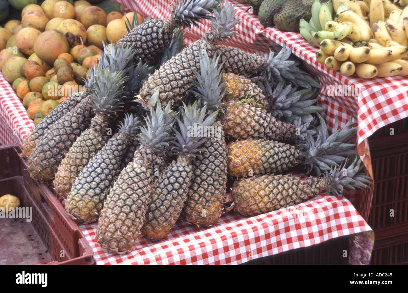 Sainte Anne market stalls alongside pavement selling wide range of ...