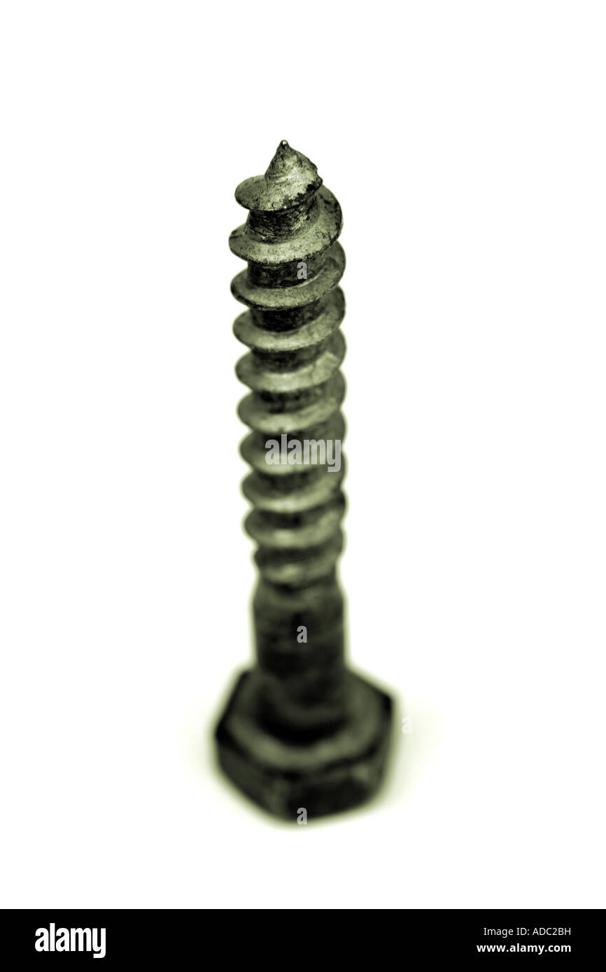 Screw isolated on white background Stock Photo - Alamy