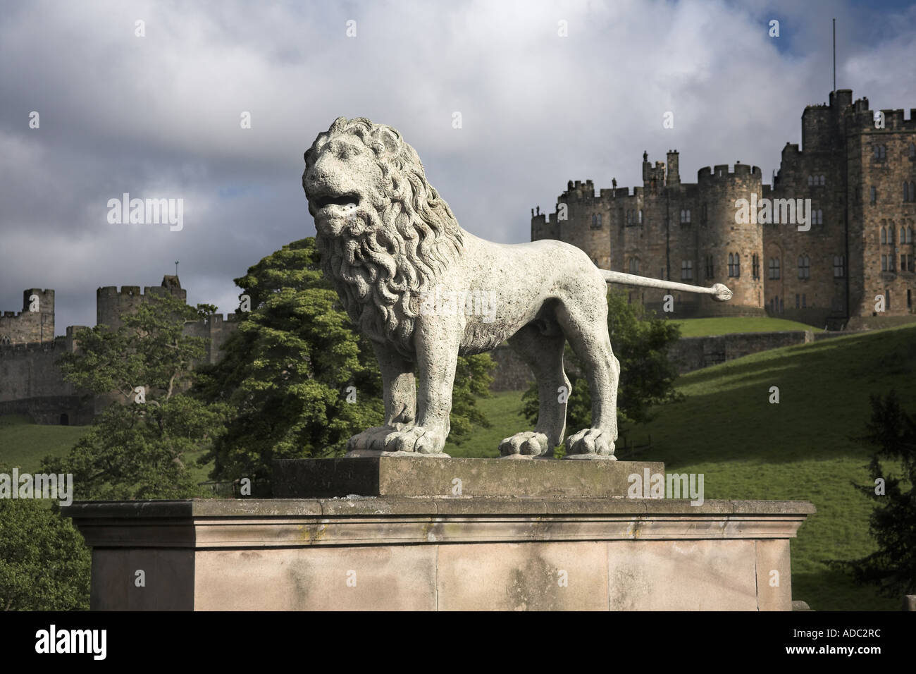 Percy lion hi-res stock photography and images - Alamy