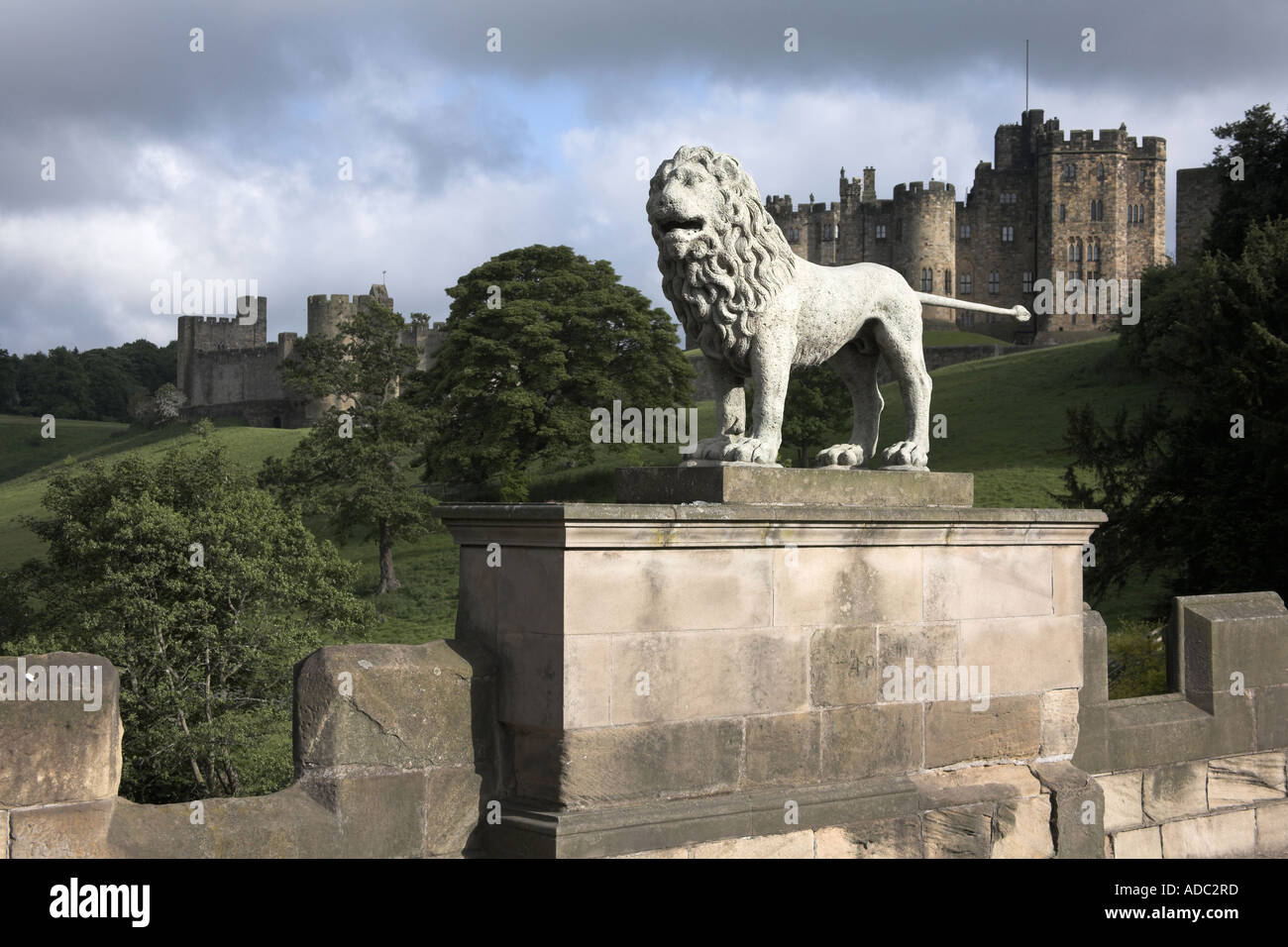 Percy lion hi-res stock photography and images - Alamy