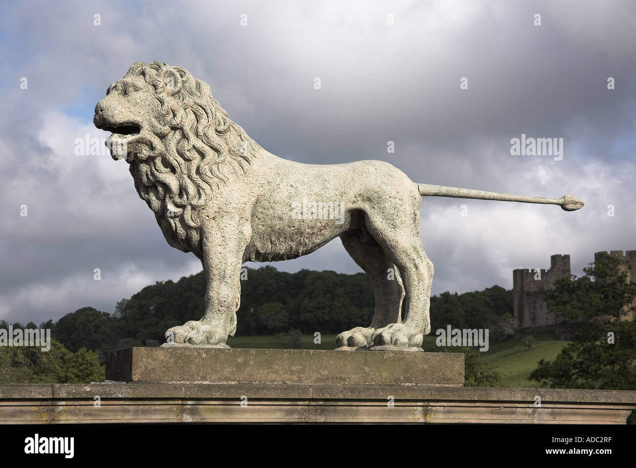 Percy Lion High Resolution Stock Photography and Images - Alamy