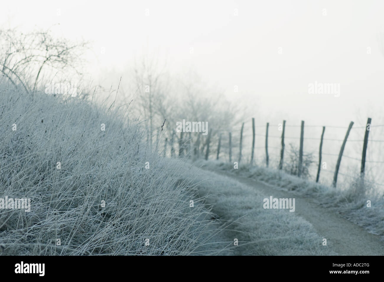 Frost covered landscape Stock Photo - Alamy