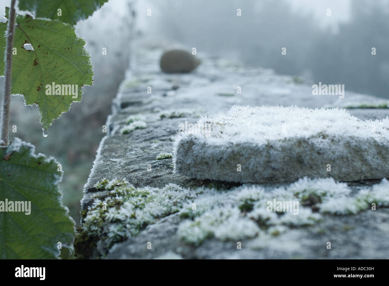 Frost covered stone wall Stock Photo - Alamy