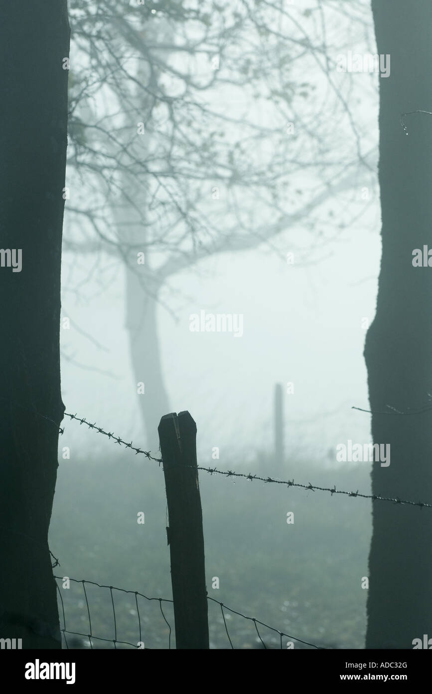 Foreground barrier hi-res stock photography and images - Alamy