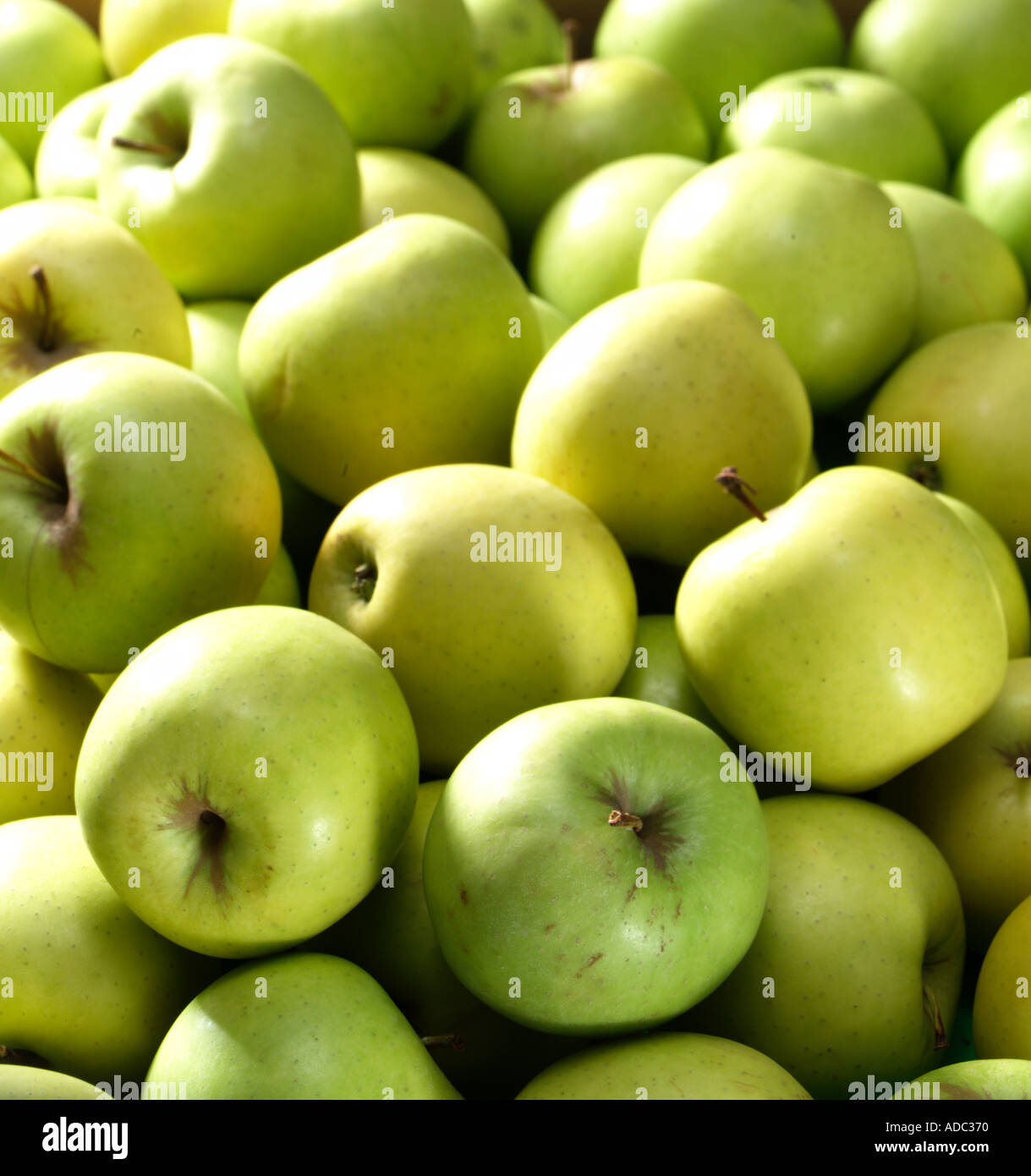 Full bleed shot of group of apples Stock Photo - Alamy