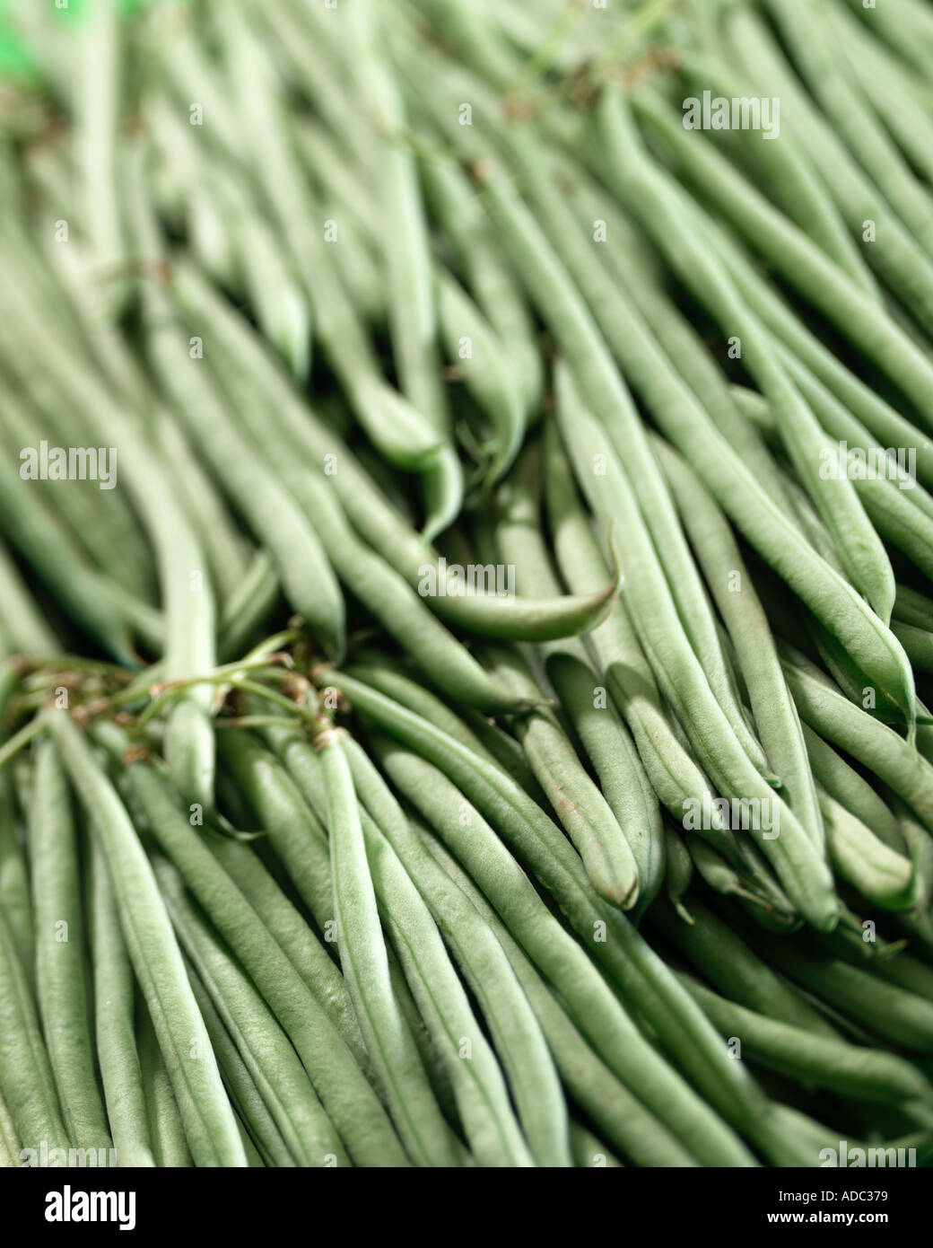 Full bleed shot of group of fine beans Stock Photo - Alamy