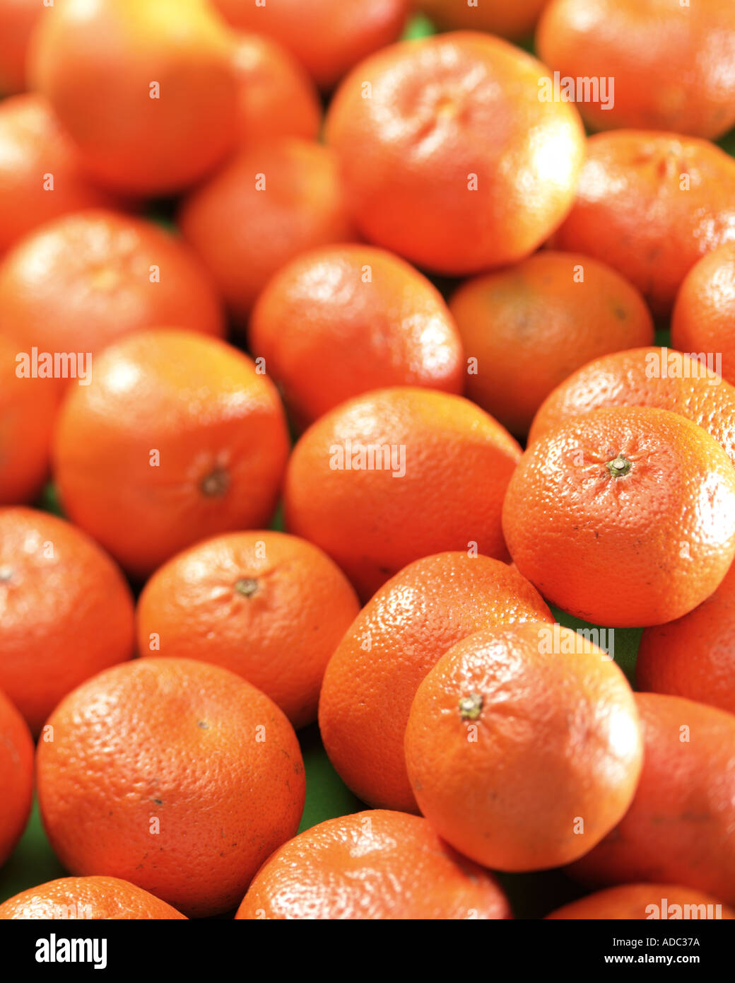 Full bleed shot of group of satsumas Stock Photo - Alamy
