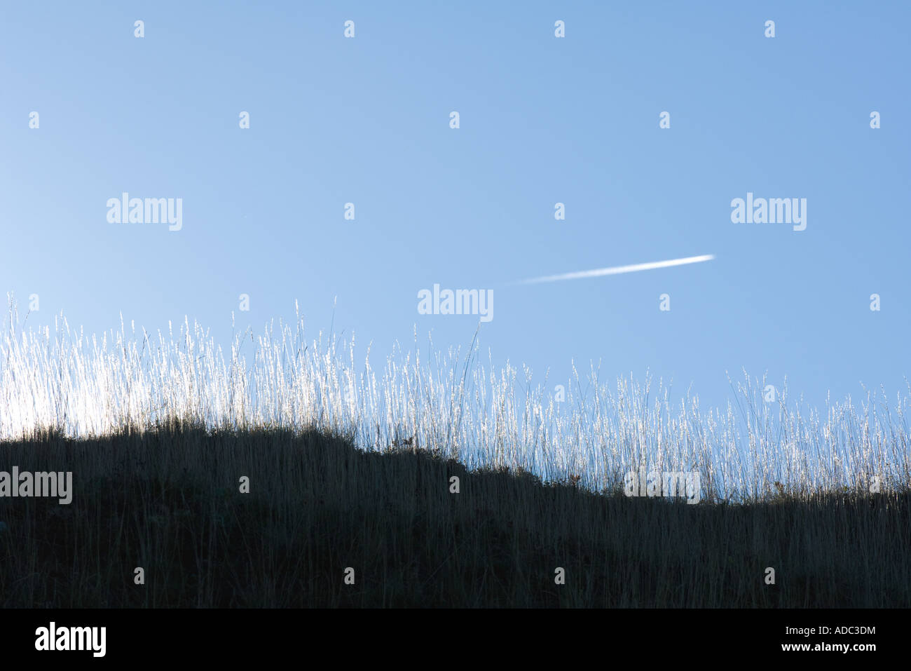 Vapor trail in sky Stock Photo - Alamy
