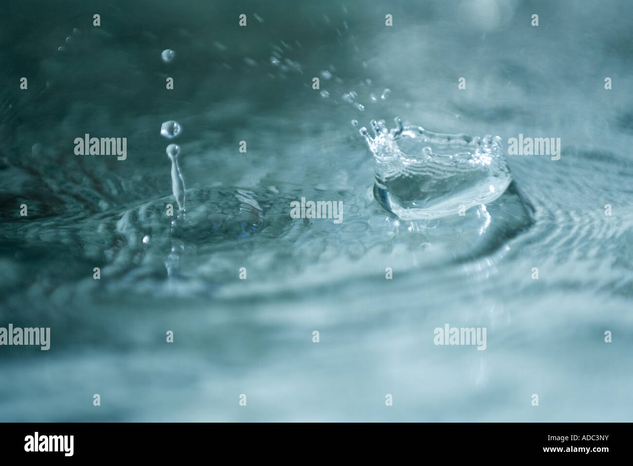 Drops of water hitting surface of water Stock Photo - Alamy