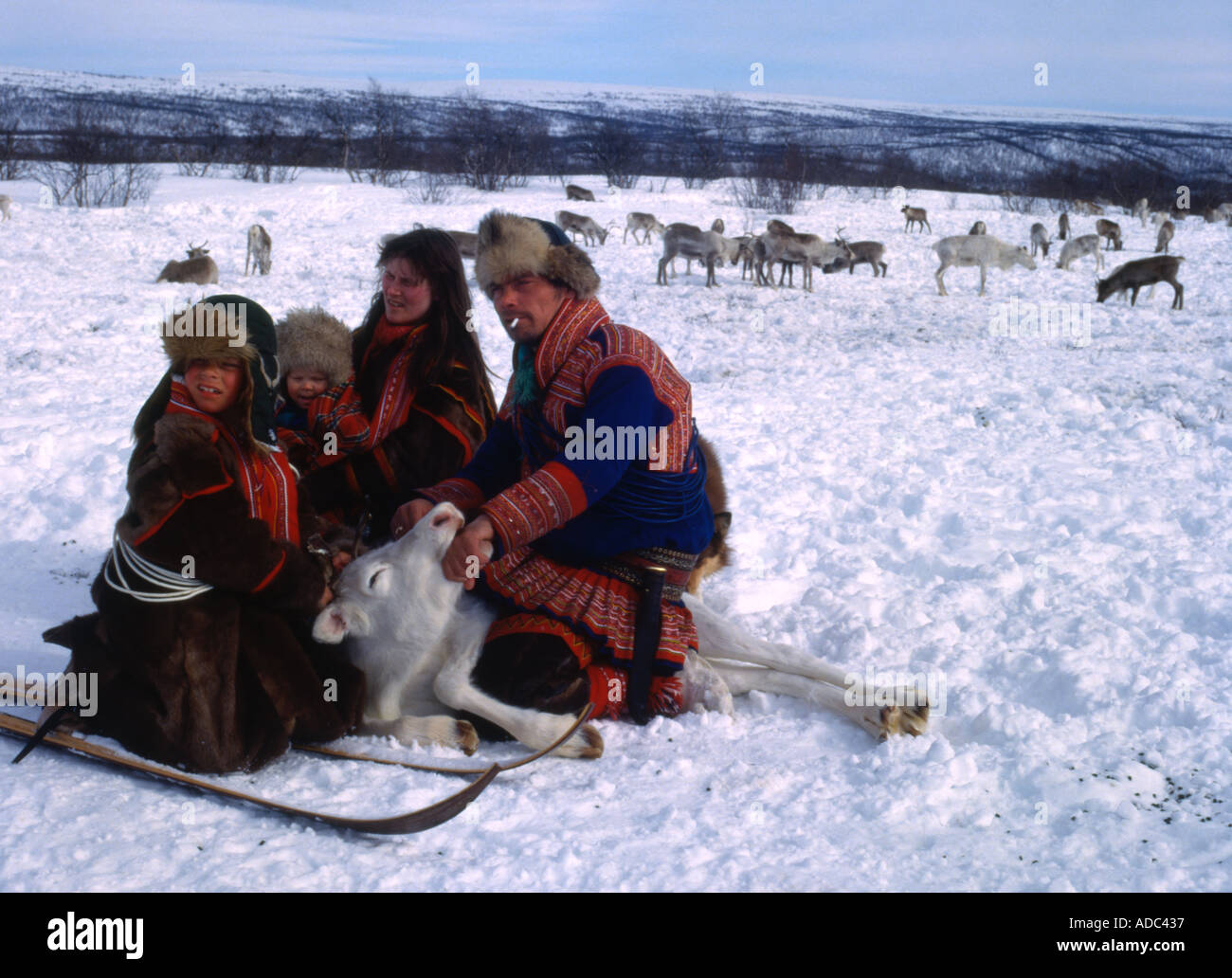 Sami family hi-res stock photography and images - Alamy