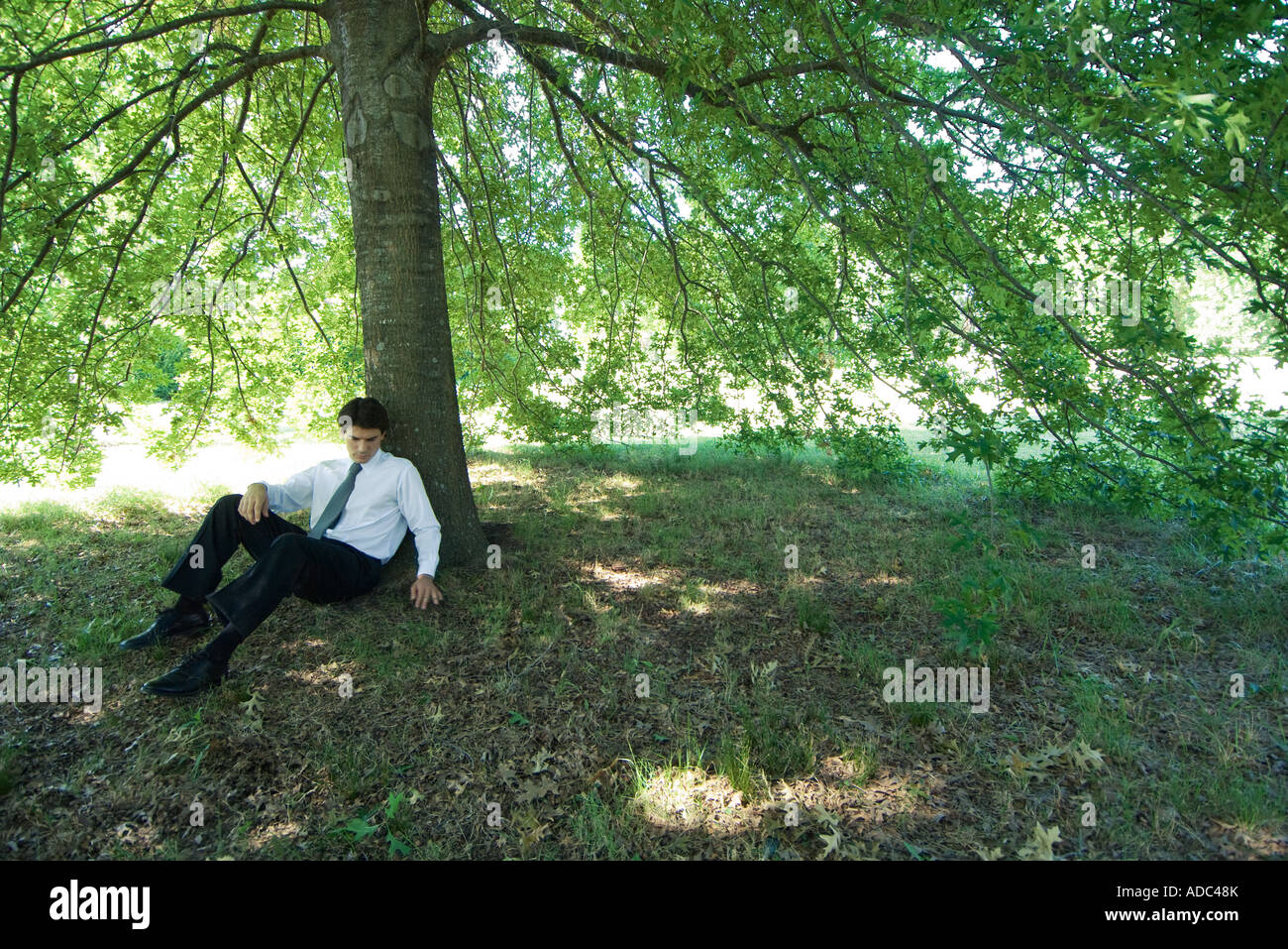 Man Sitting Under Shade Tree High Resolution Stock Photography and ...