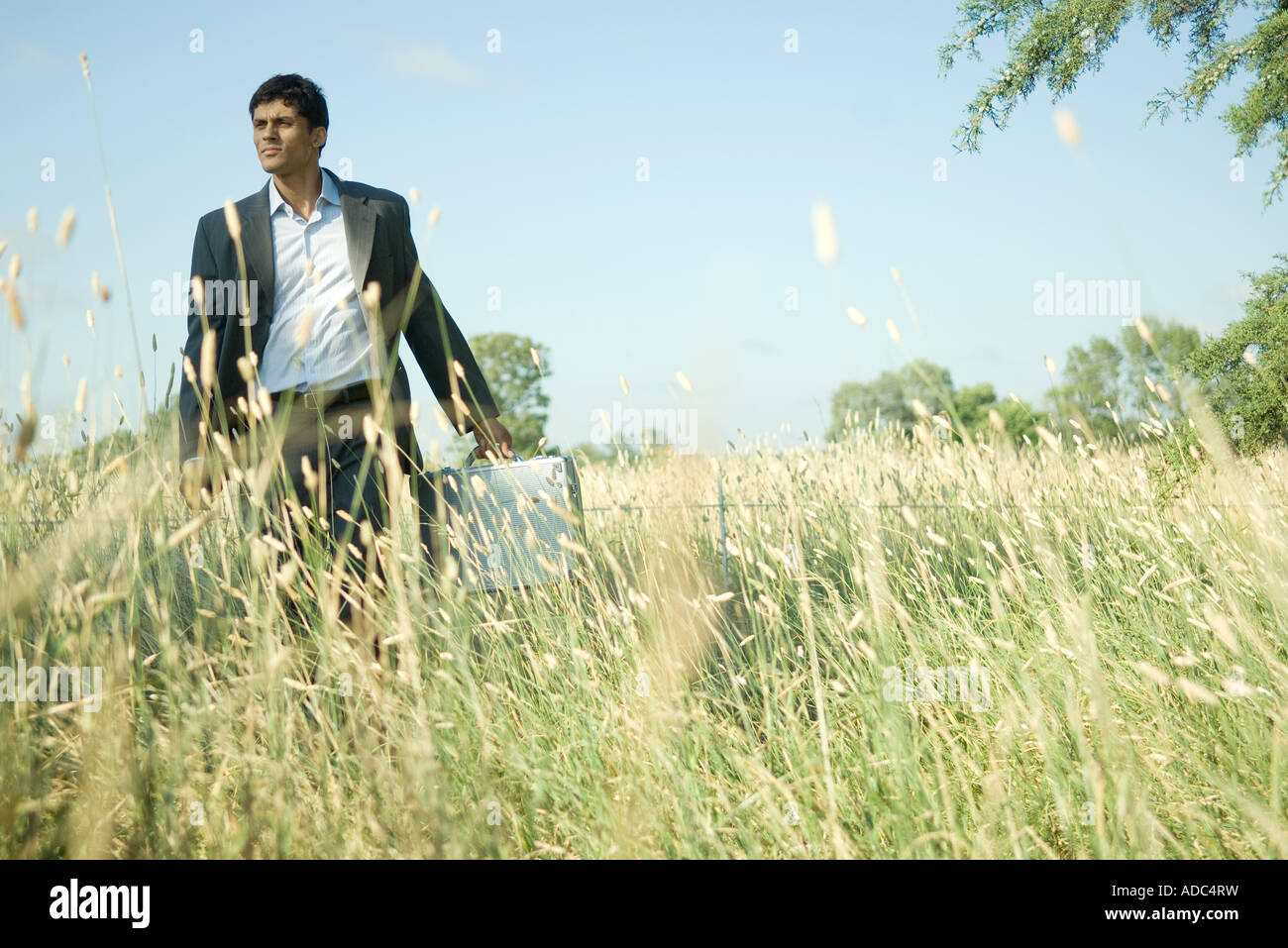 Man walking through field touching hi-res stock photography and images ...