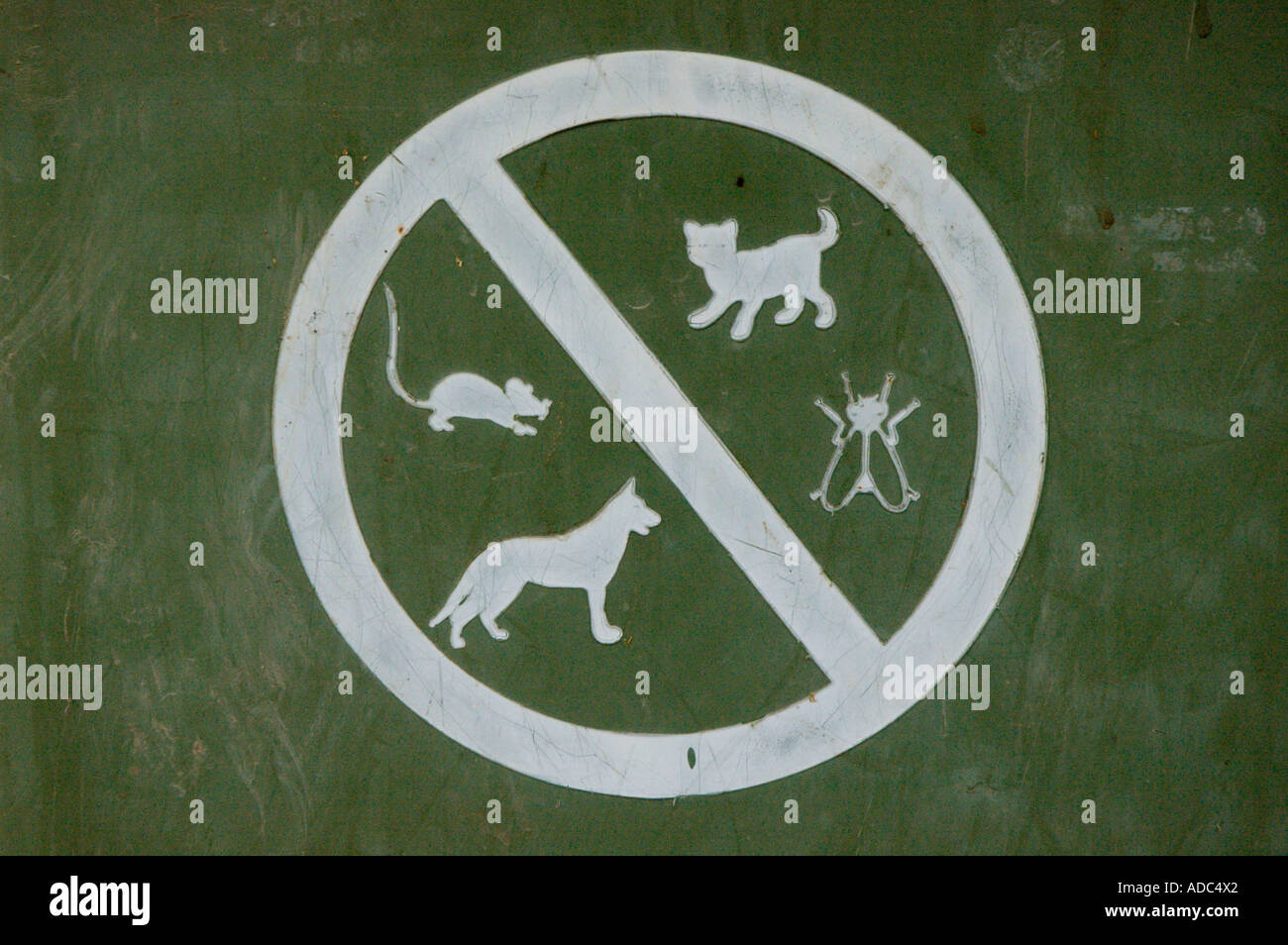 No Critters, No Animals Stock Photo - Alamy