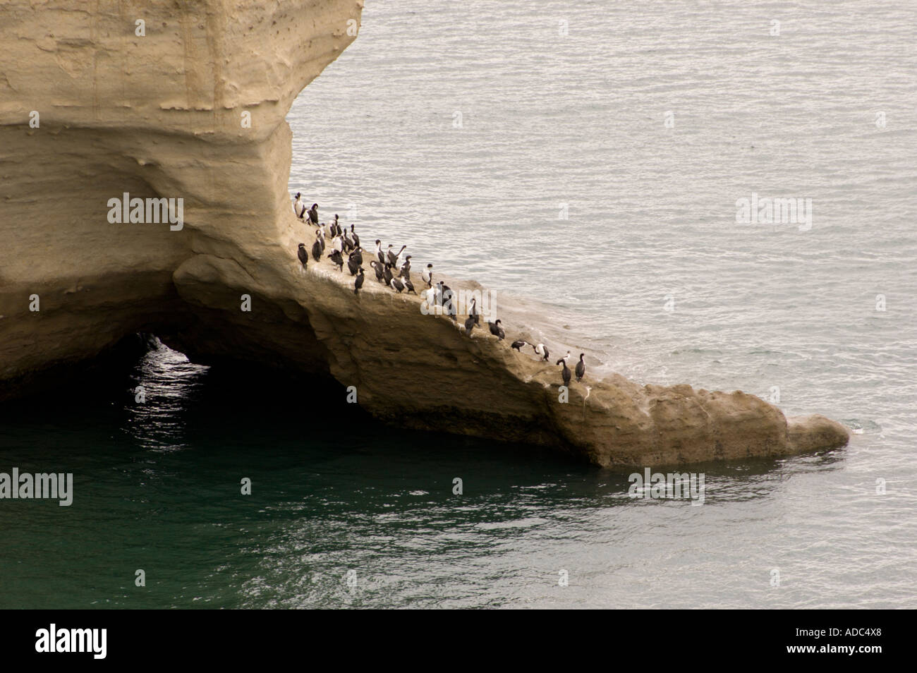 Monte leon national park hi-res stock photography and images - Alamy