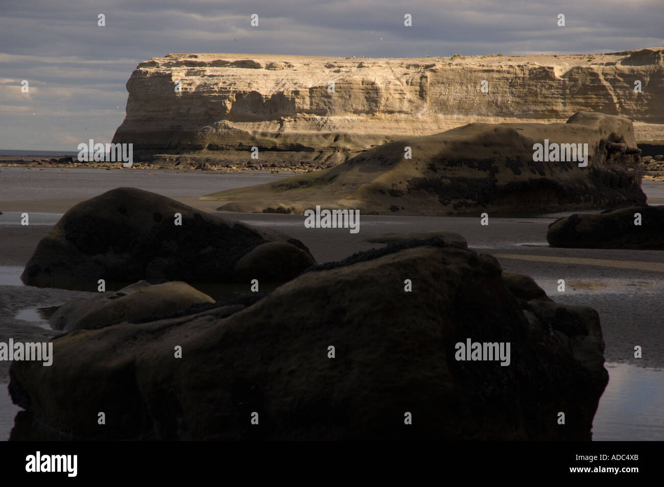 Monte Leon National Park, Province of Santa Cruz, Patagonia, Argentina ...