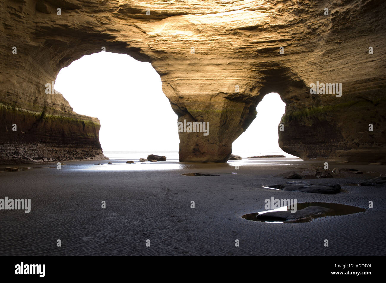Monte leon national park hi-res stock photography and images - Alamy