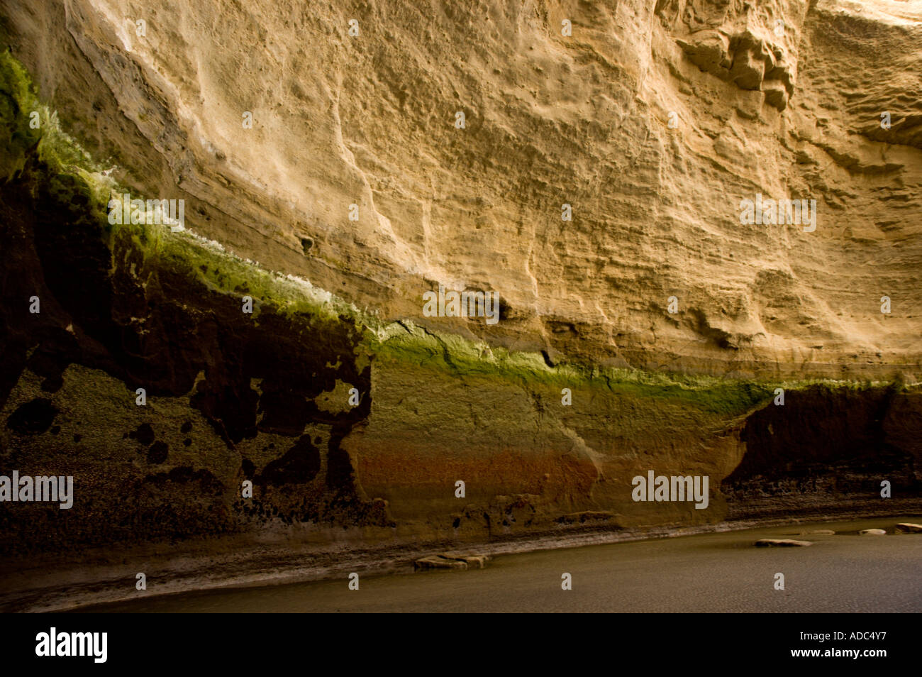 Monte león national park argentina hi-res stock photography and images ...
