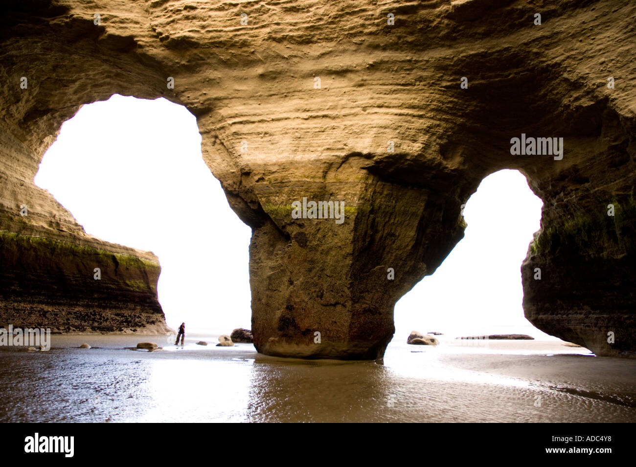 Monte leon national park hi-res stock photography and images - Alamy