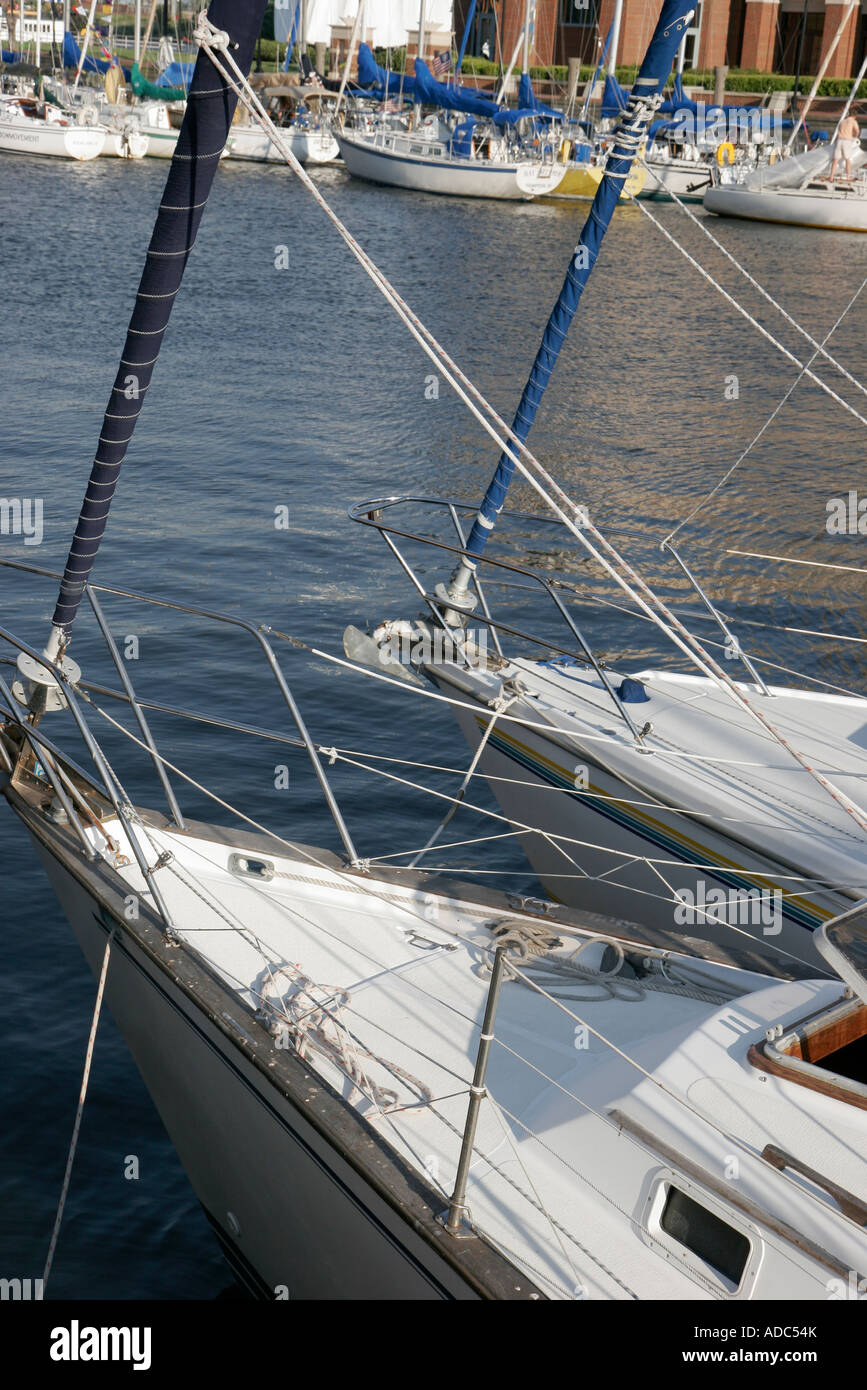 Portsmouth Virginia,Elizabeth River water,North Ferry Landing,Cock ...