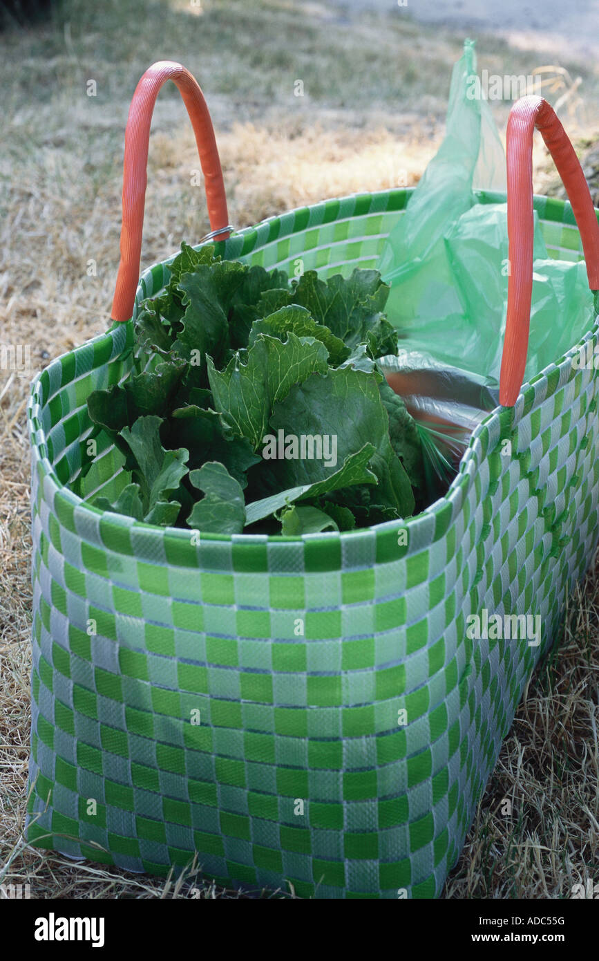 Shopping basket full of fresh produce Stock Photo - Alamy