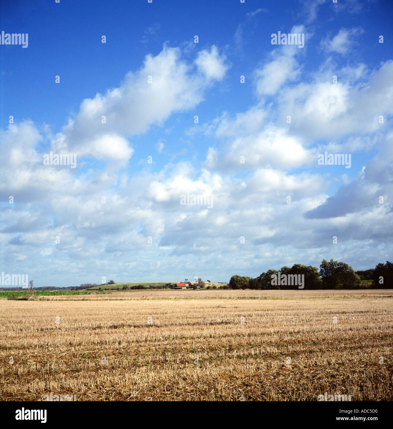 Suffolk farming scene hi-res stock photography and images - Alamy