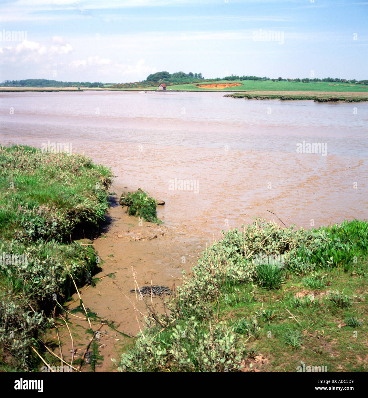 Butley river creek Suffolk England Stock Photo - Alamy