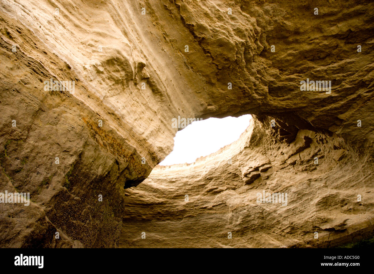 Monte Leon National Park, Province of Santa Cruz, Patagonia, Argentina ...